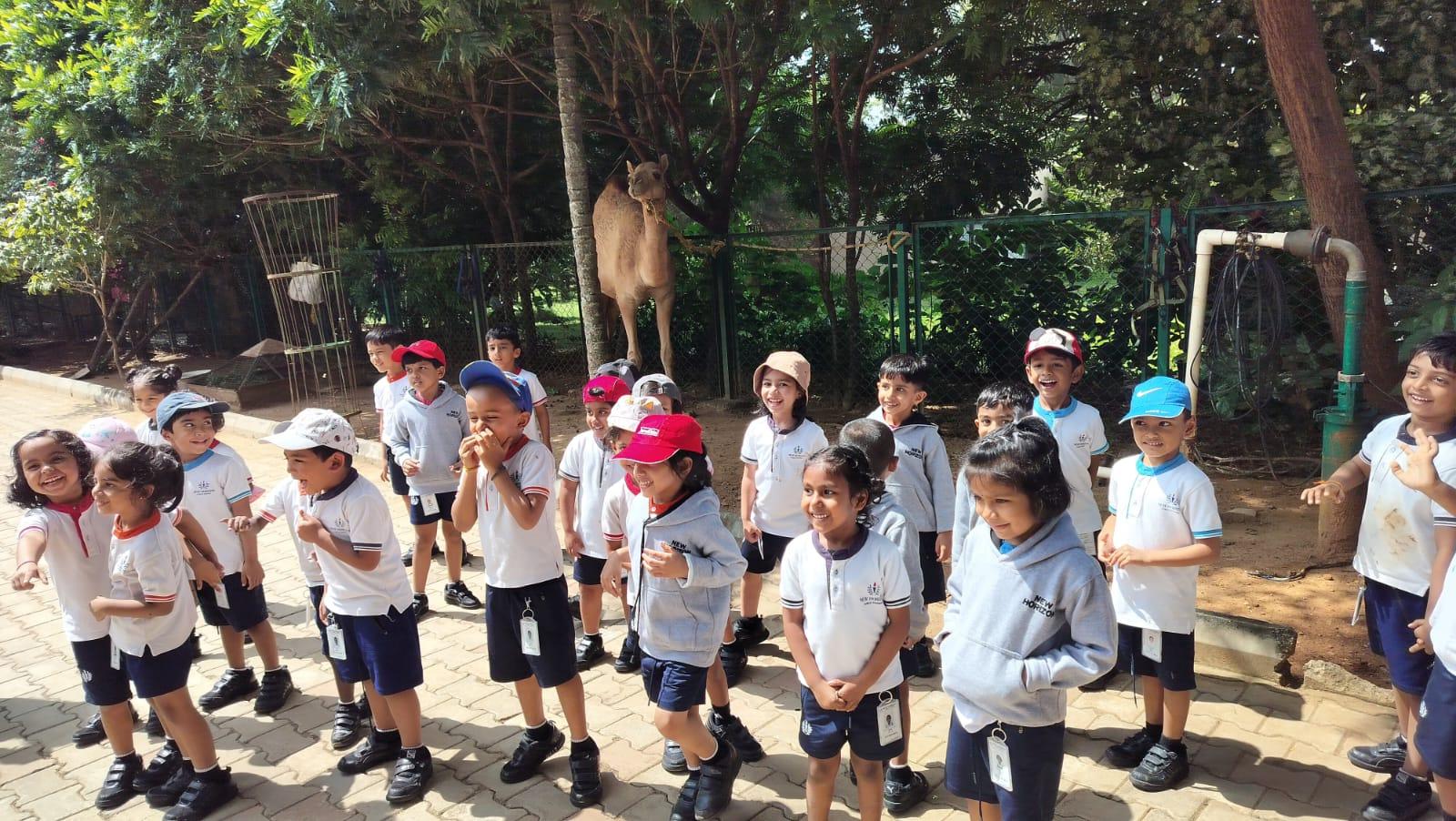 Enchanting Acres Photo Gallery